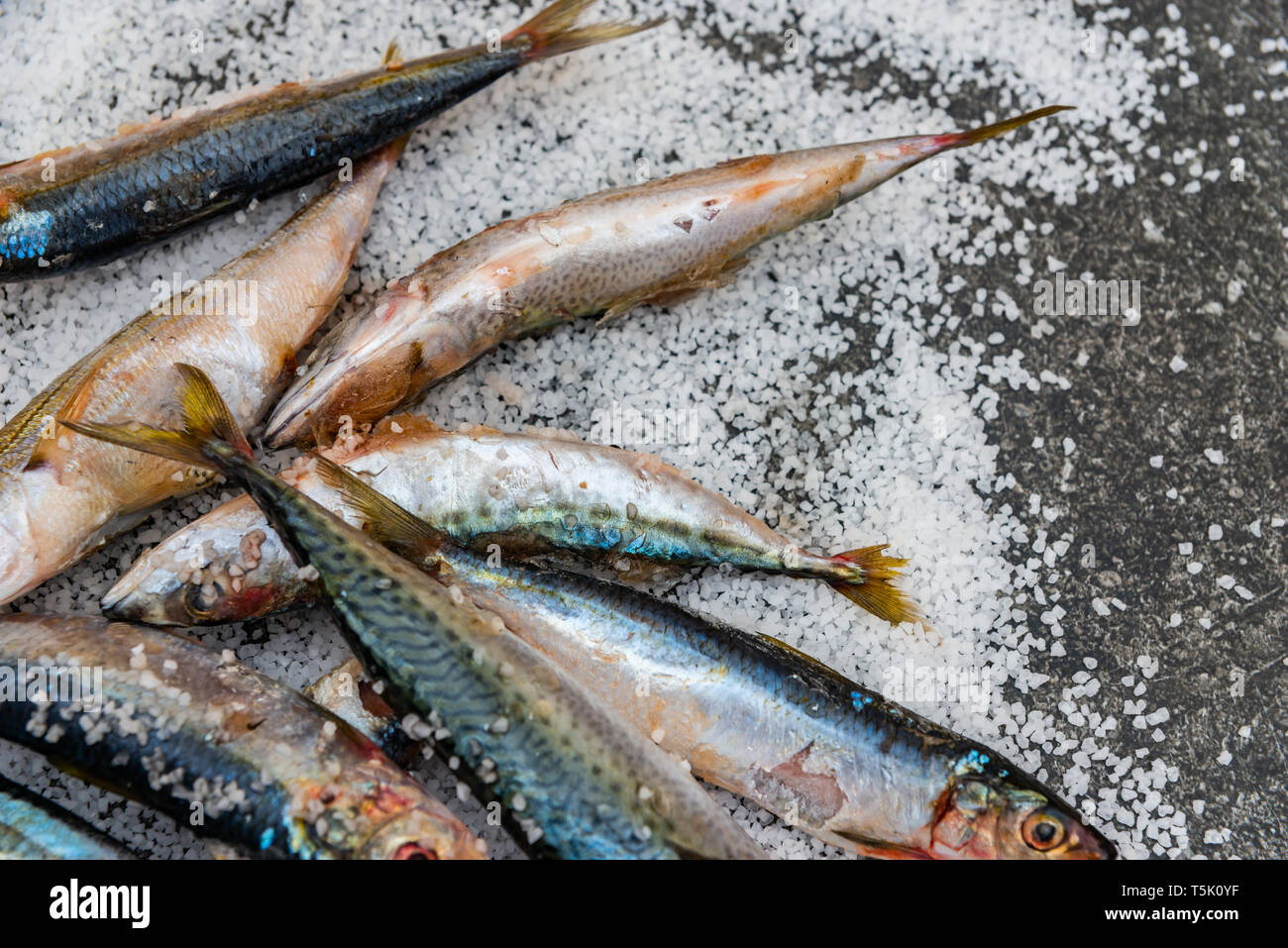 Whole raw organic mackerel fish with sea salt lying on a flat surface ...