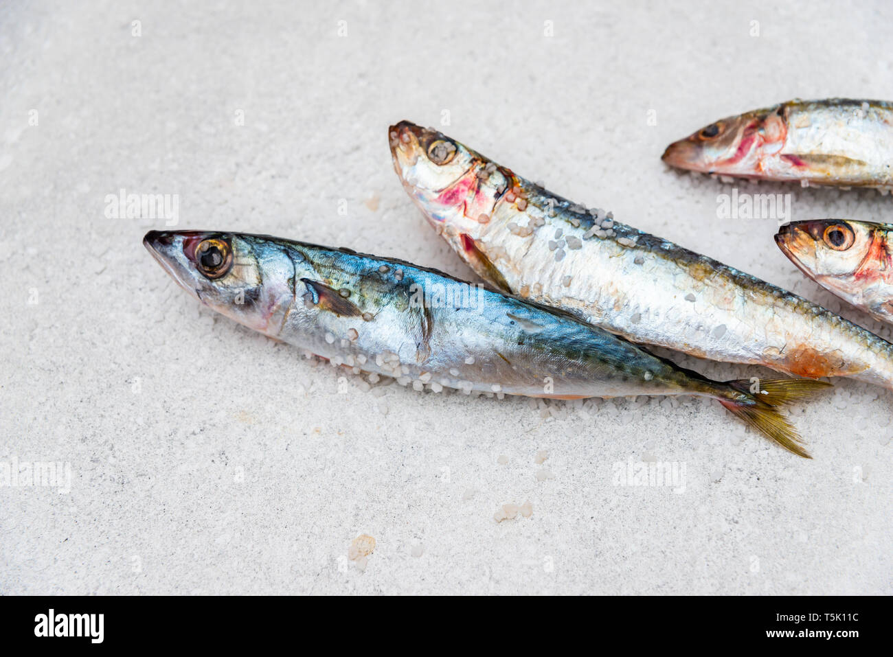 Whole raw organic mackerel fish with sea salt lying on a flat surface ...