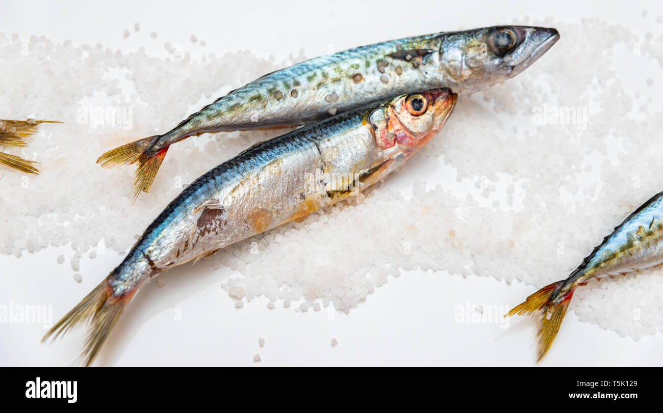Whole raw organic mackerel fish with sea salt lying on a flat surface ...