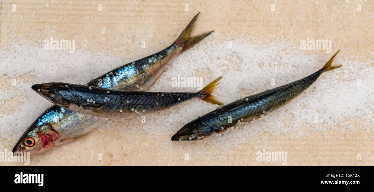 Whole raw organic mackerel fish with sea salt lying on a flat surface ...