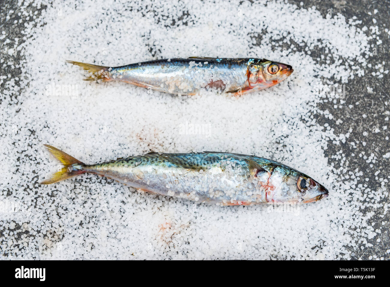 Whole raw organic mackerel fish with sea salt lying on a flat surface ...