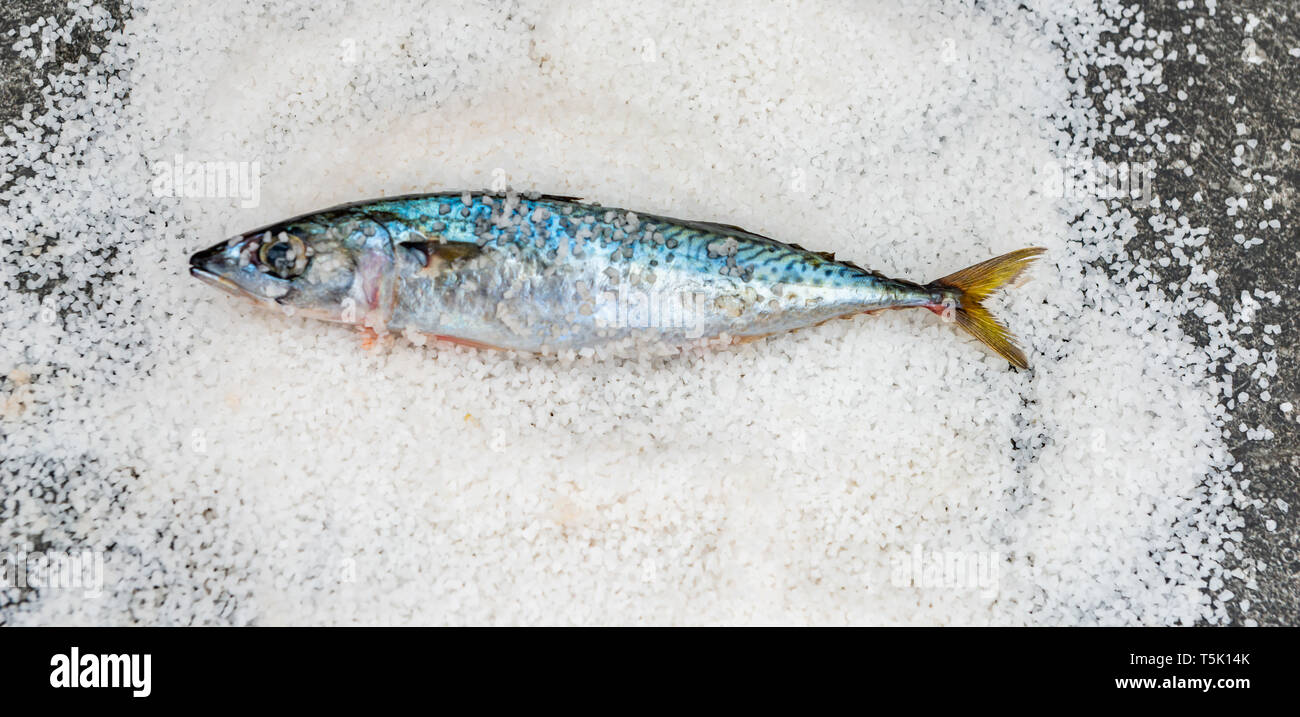 Whole raw organic mackerel fish with sea salt lying on a flat surface ...