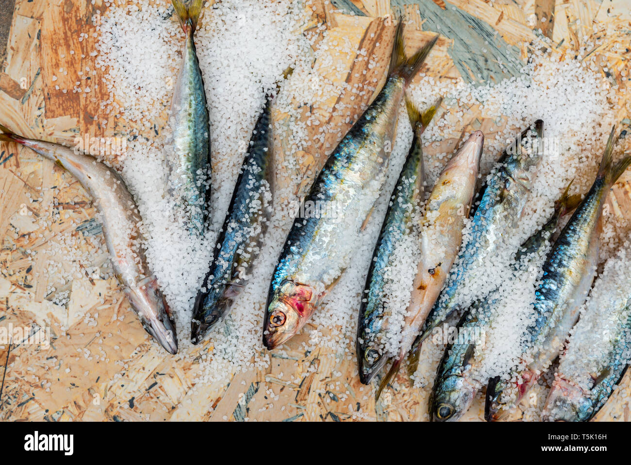 Whole raw organic mackerel fish with sea salt lying on a flat surface ...