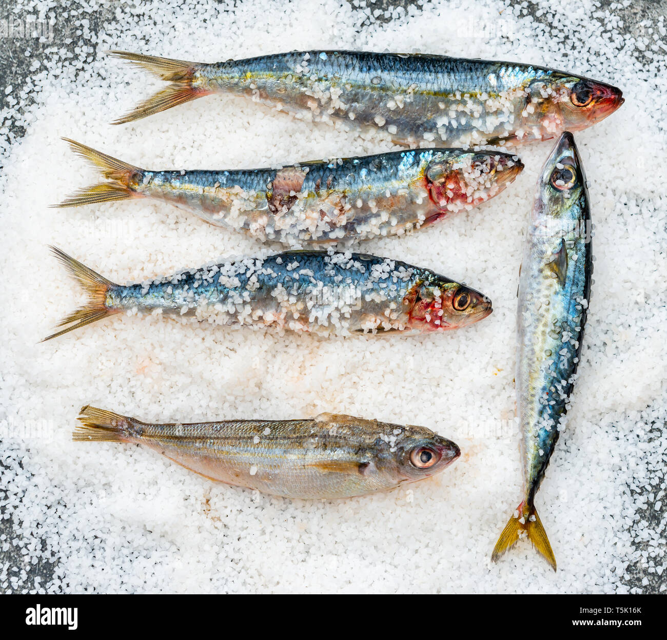 Whole raw organic mackerel fish with sea salt lying on a flat surface ...