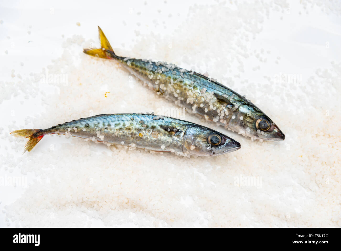 Whole raw organic mackerel fish with sea salt lying on a flat surface ...