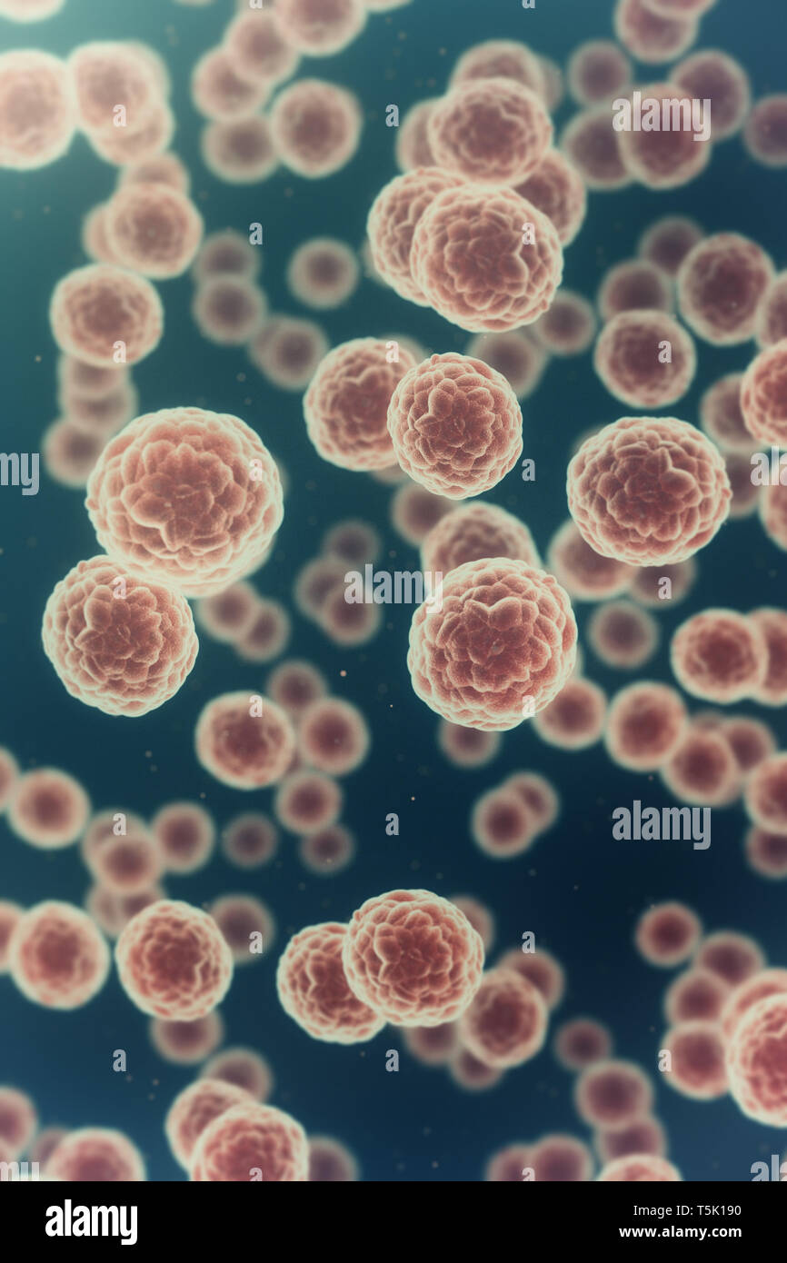 Cells of the body hi-res stock photography and images - Alamy