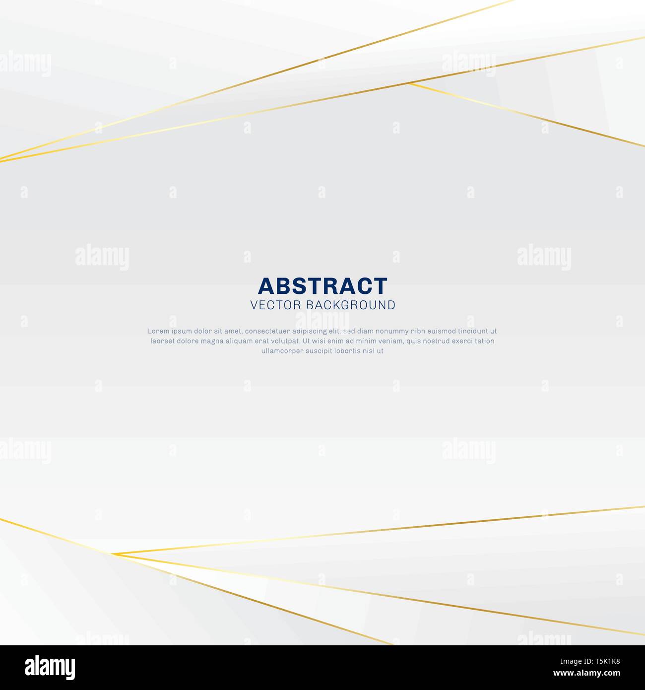 Abstract polygonal pattern luxury on white and gray header background ...