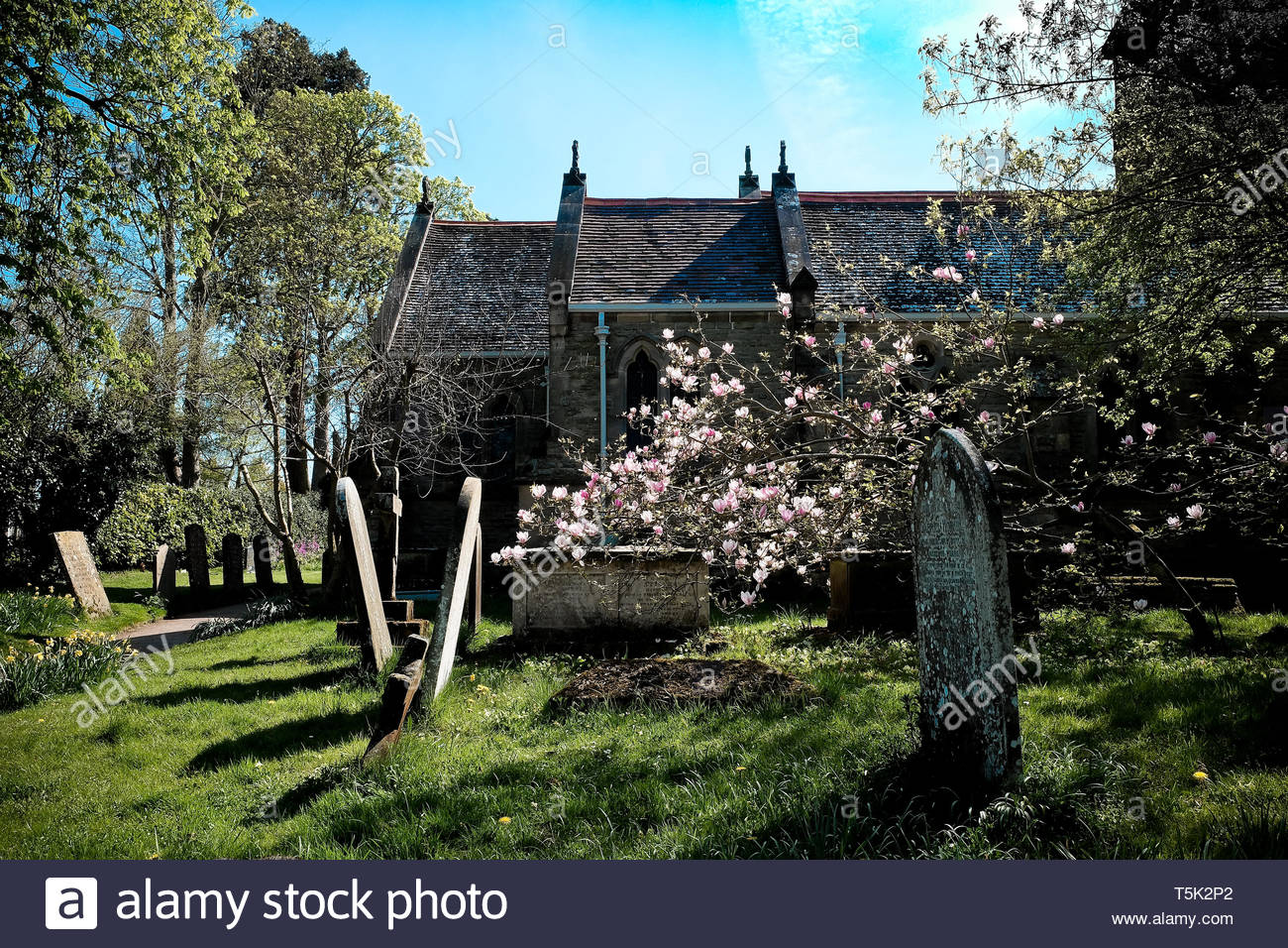 Milverton High Resolution Stock Photography and Images - Alamy