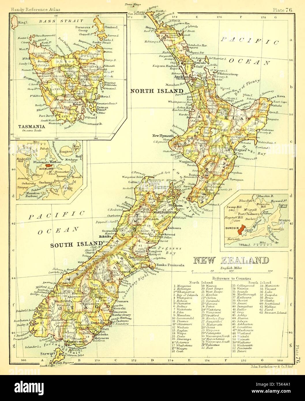 Beautiful vintage hand drawn map illustrations of New Zealand from old ...