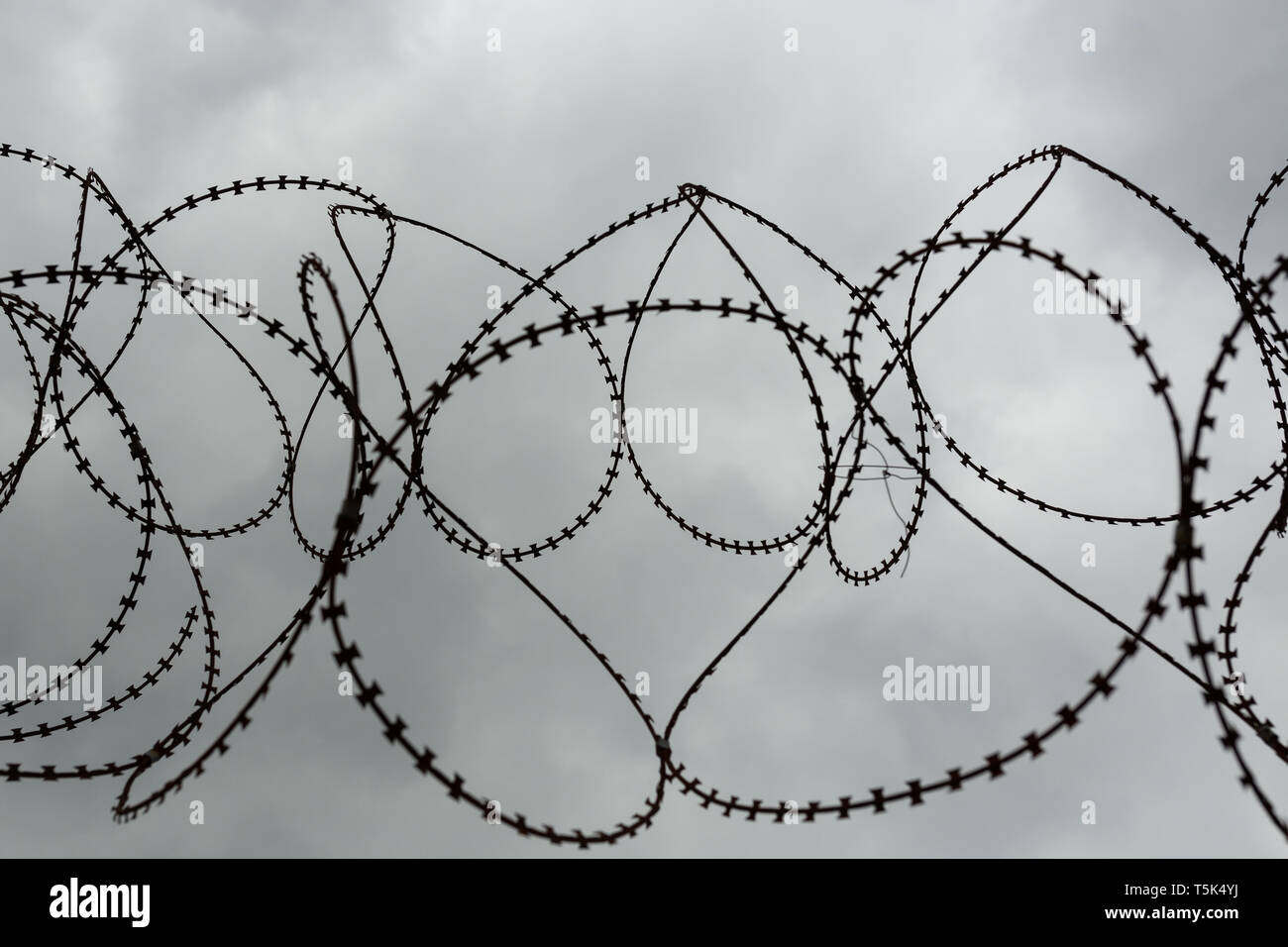 Razor ribbon hi-res stock photography and images - Alamy