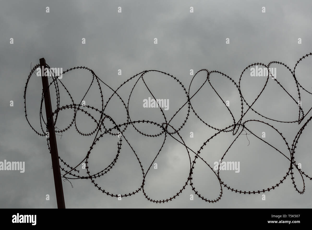 razor wire against a gray cloudy sky Stock Photo - Alamy