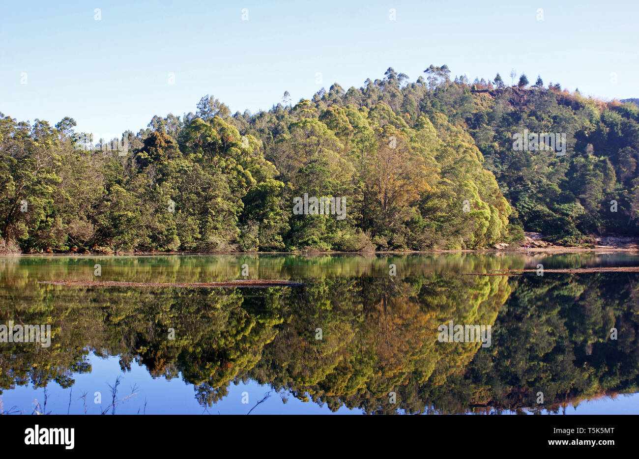 Telaga Warna Lake Reflection, Dieng Plateau, Wonosobo, Central Java ...