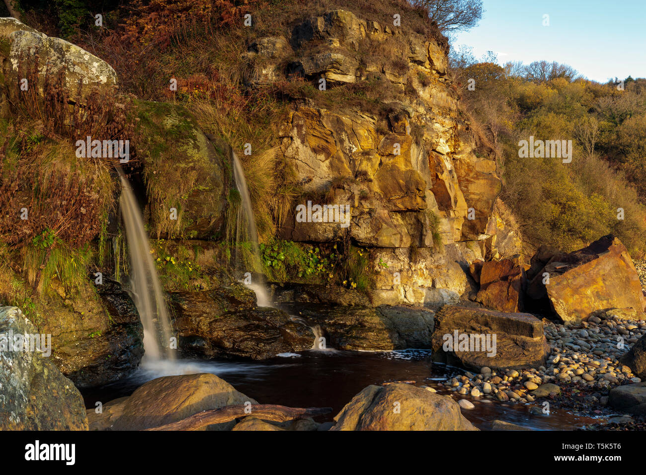 Wyke hi-res stock photography and images - Alamy