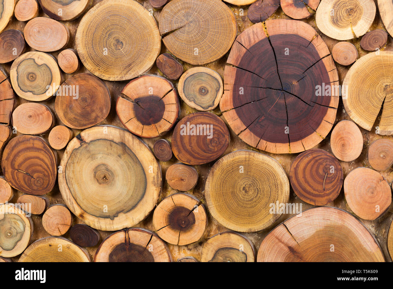 Round wooden unpainted solid natural ecological soft colored brown and ...