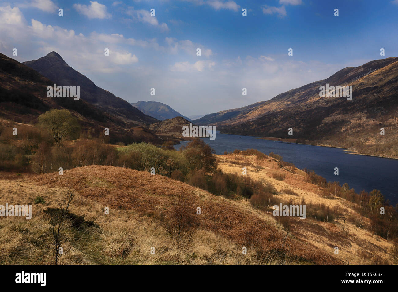 Kinlochleven deer hi-res stock photography and images - Alamy