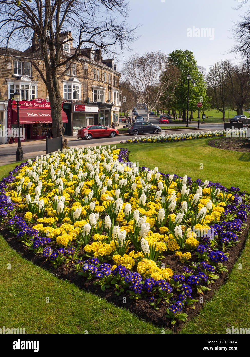 Yellow flowers on roundabout hi-res stock photography and images - Alamy