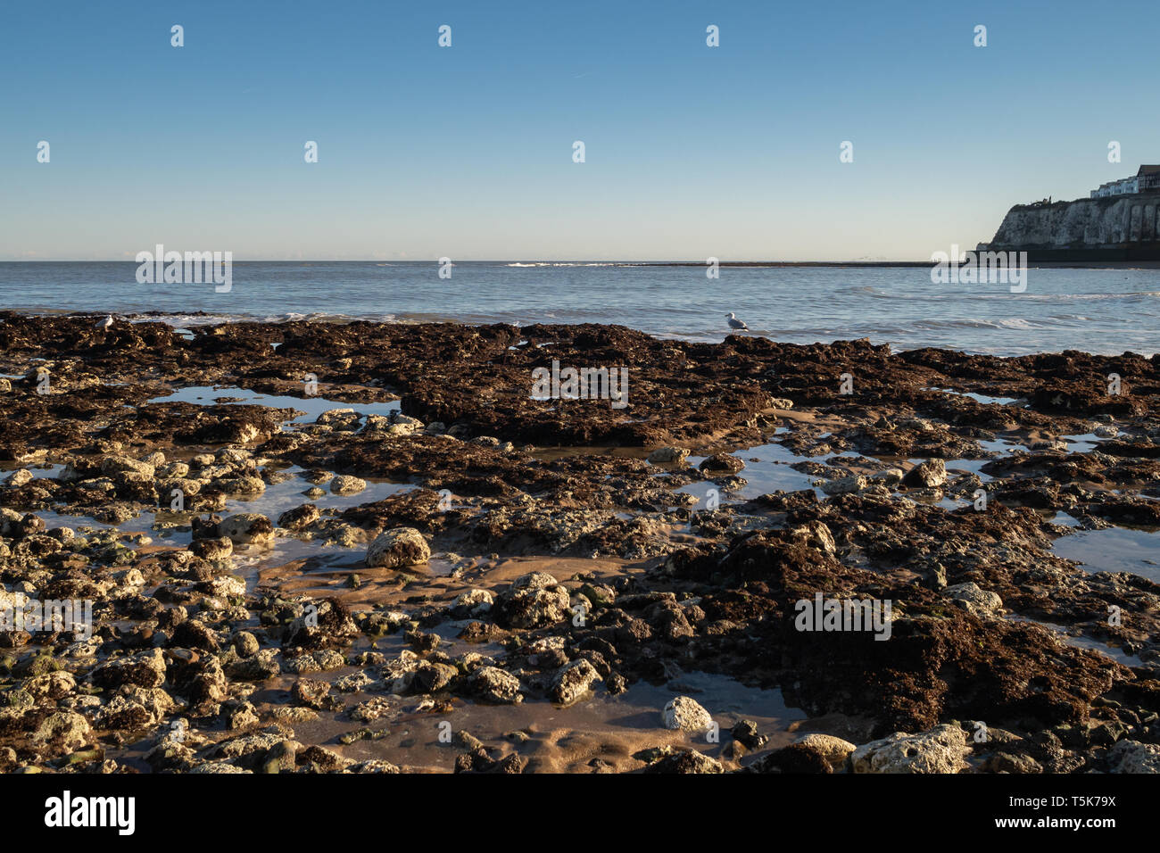 Kingsgate castle kent hi-res stock photography and images - Alamy