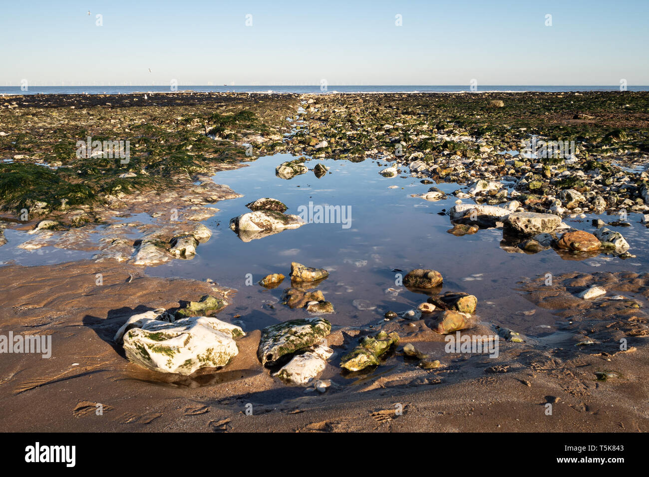 Rocks on the beach with tidal pool in Kent, UK Stock Photo - Alamy