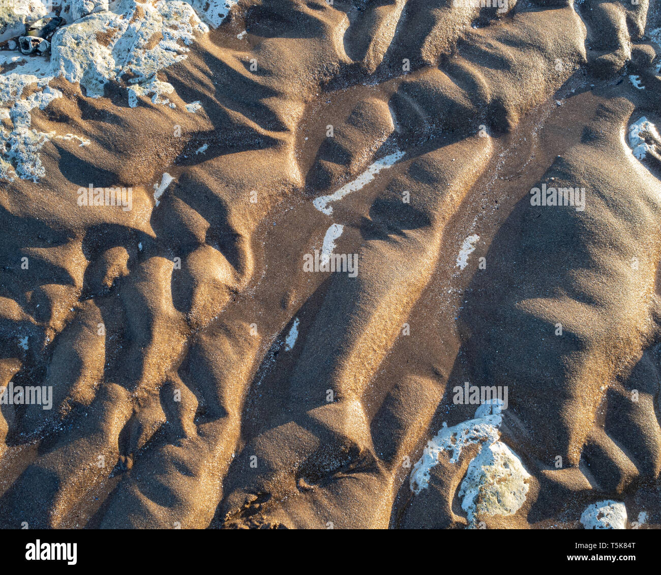 Sand formations on the beach at sunset Stock Photo - Alamy
