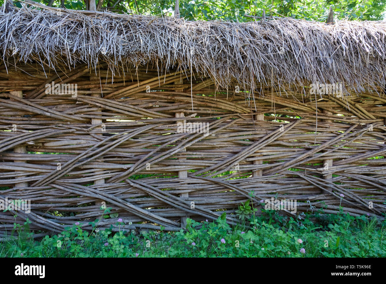 fence or wall made of branches braided together Stock Photo - Alamy