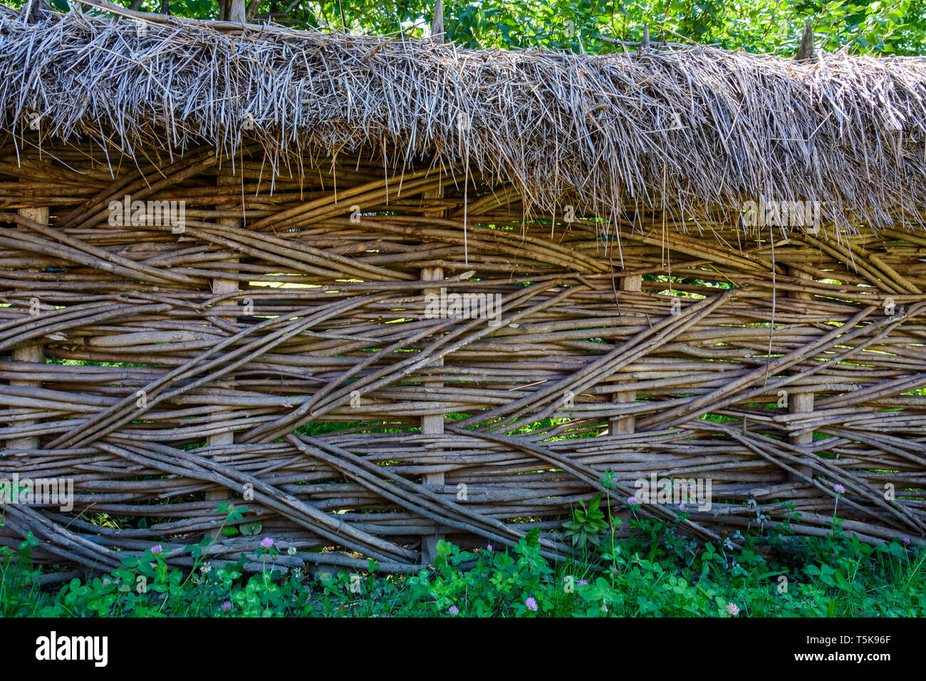 fence or wall made of branches braided together Stock Photo - Alamy