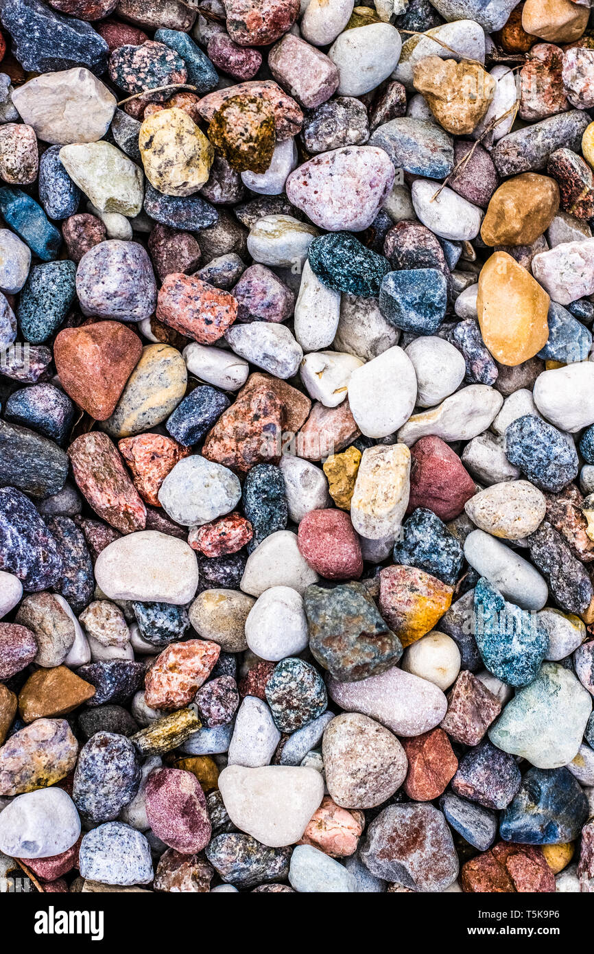 Landscape architecture, interior design and nature elements concept ...