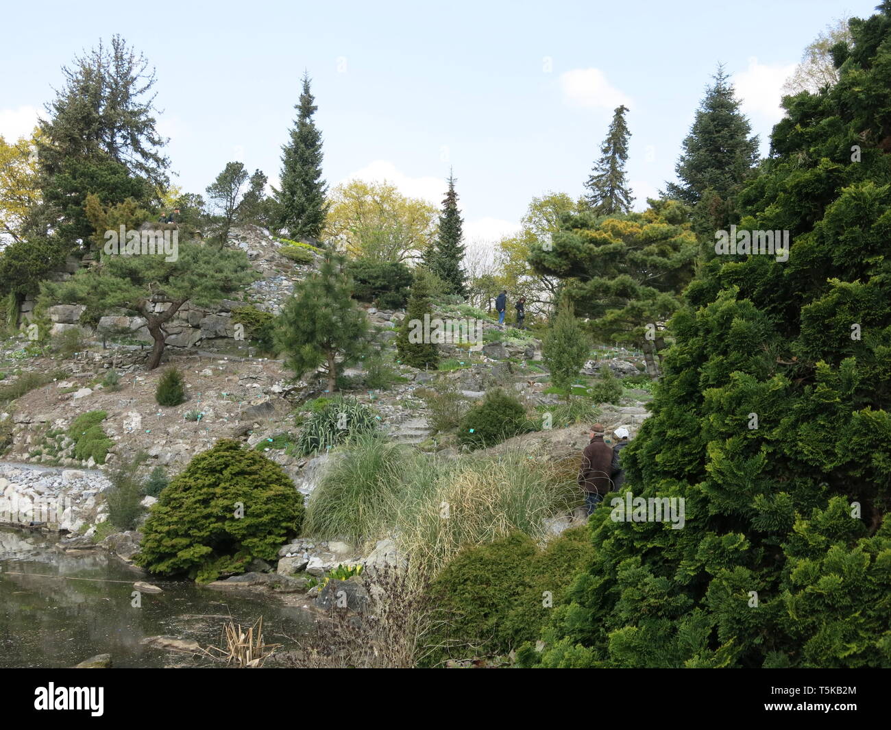View of the spectacular alpine Rock Garden at Utrecht Botanic Garden ...