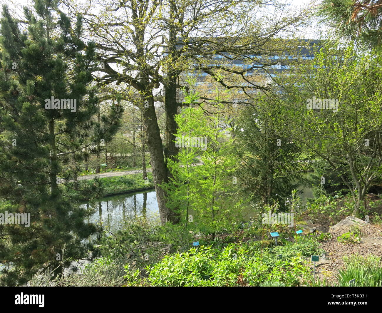 View of the lake and rock garden on a sunny spring day at the Utrecht ...