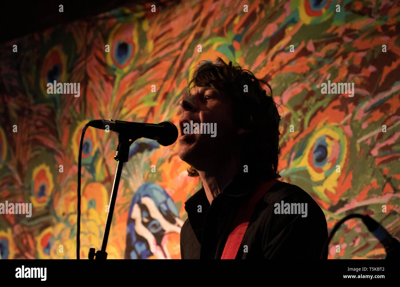 Orphan colours hi-res stock photography and images - Alamy