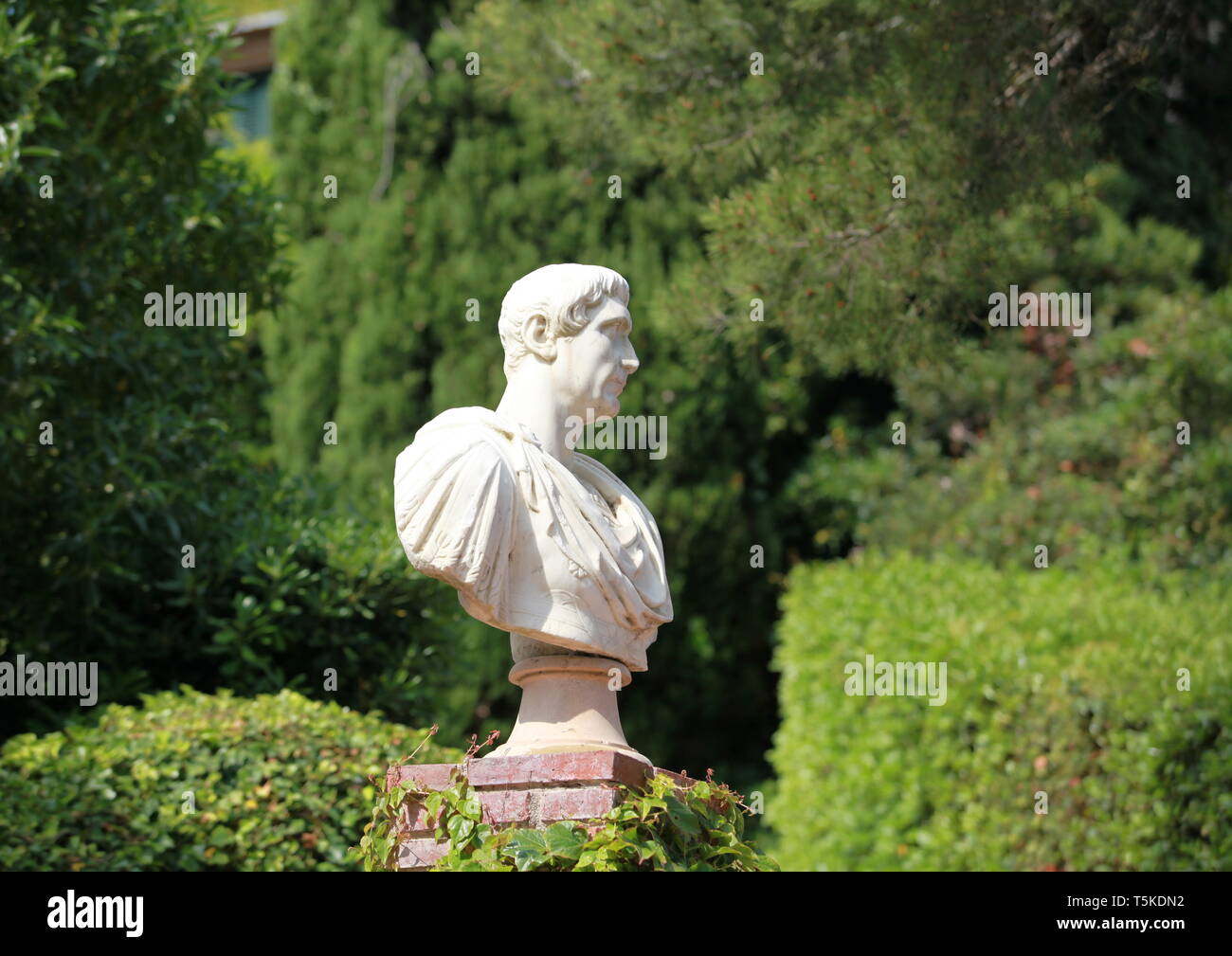 Antique Caesar Bust in Summer Garden Stock Photo - Alamy