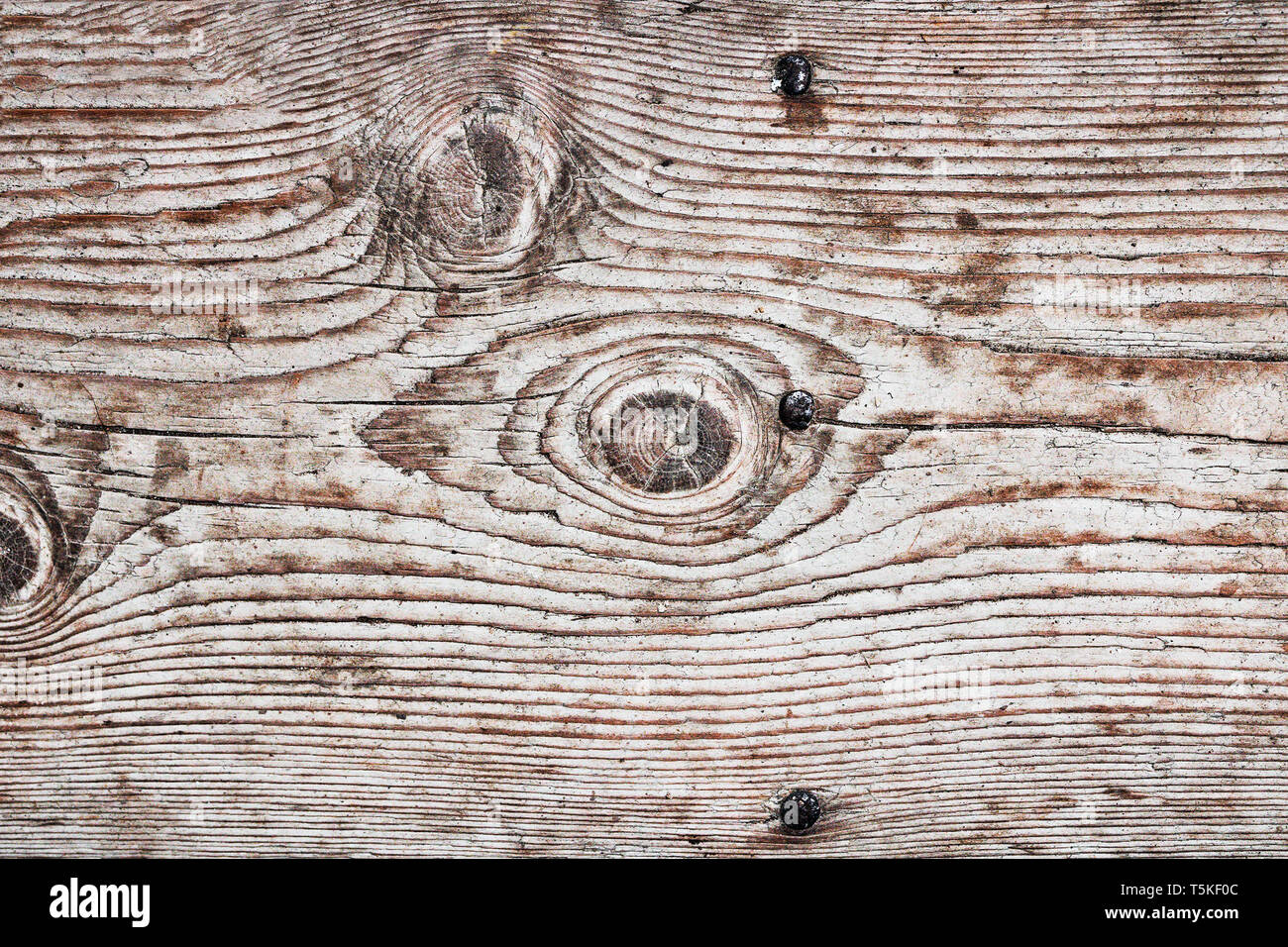 detail of a knot on spruce wooden plank ready for your design Stock ...