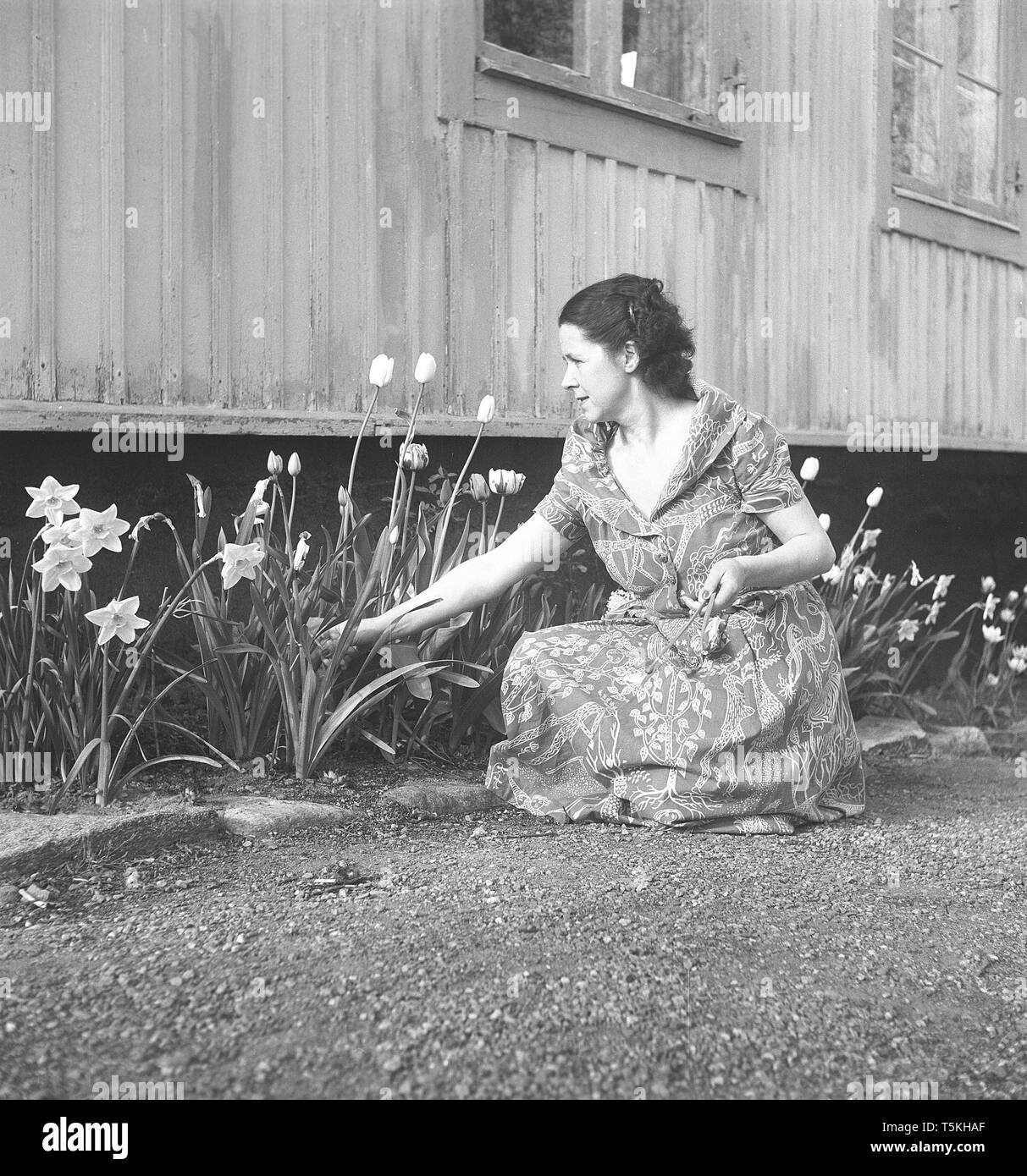 1950s garden flowers Black and White Stock Photos & Images - Alamy