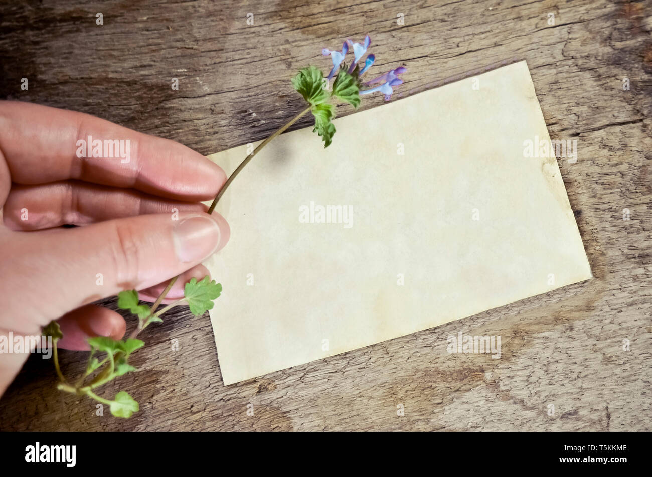 Hand holding note card hi-res stock photography and images - Alamy