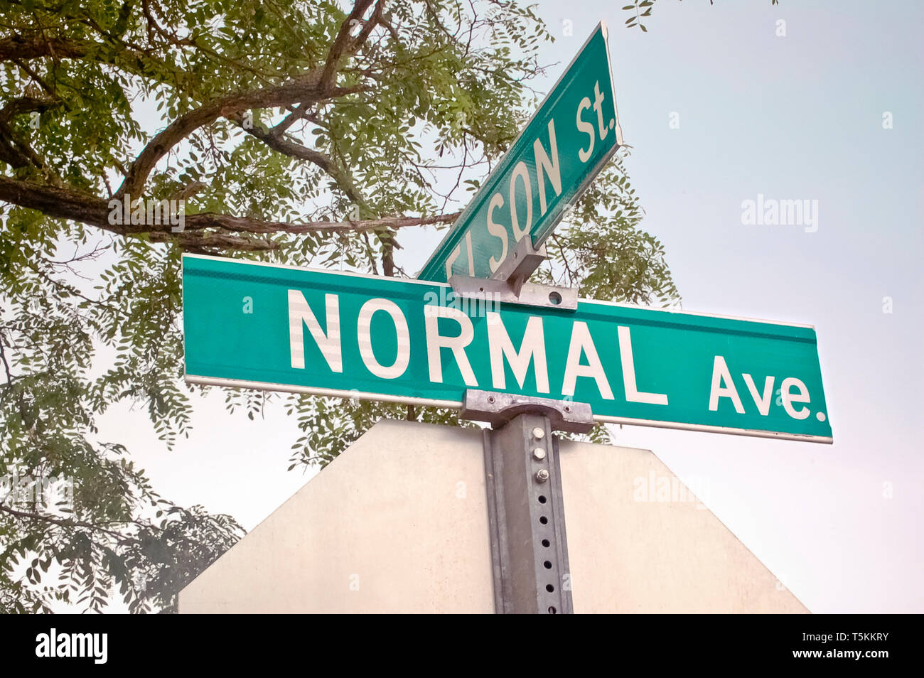 Normal reading hi-res stock photography and images - Alamy