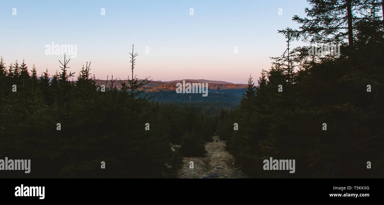 Nice sunrise in forest valley with sun on distant hills Stock Photo - Alamy