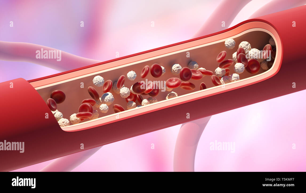 Red and white blood cells in the vein. Leukocyte high level. 3D ...