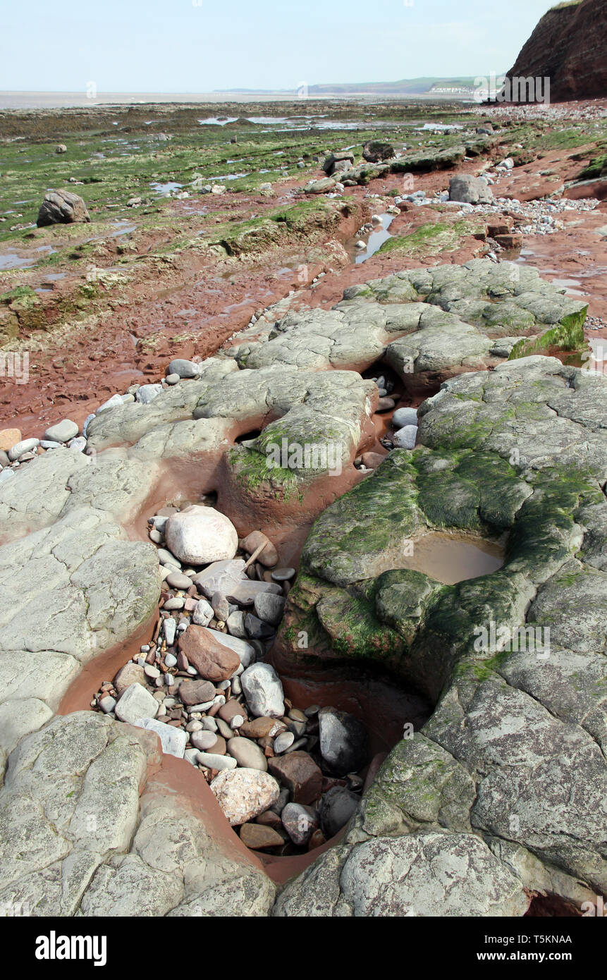 wave-cut platform Fossil Beach Watchet Somerset Stock Photo - Alamy