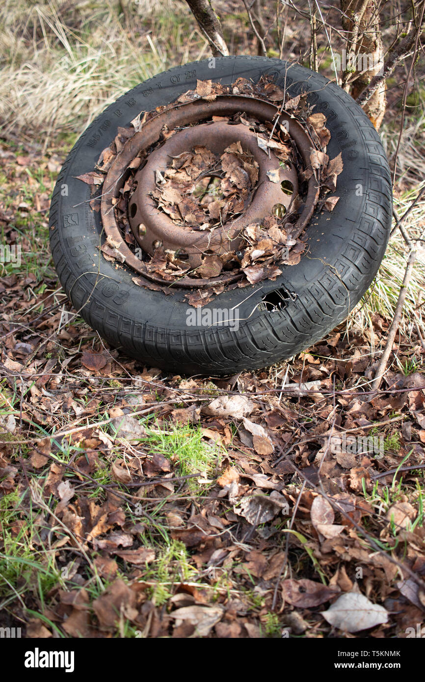 Rustic tire in autumn woods Stock Photo - Alamy