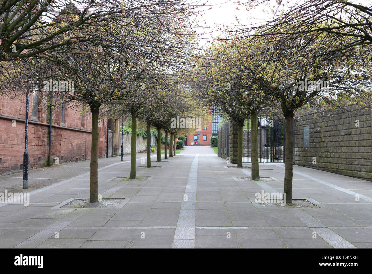 Walkway frames with trees leading way Stock Photo - Alamy