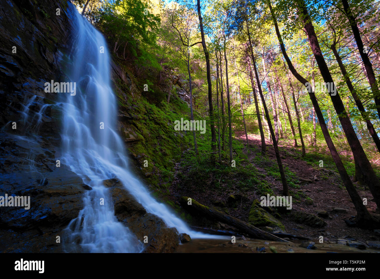 Sill Branch Waterfall after a record breaking spring rain fall in ...