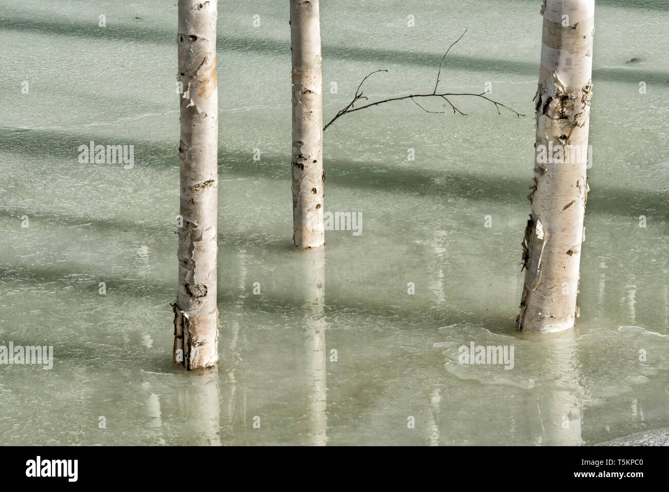 Alaska tanana valley hi-res stock photography and images - Alamy
