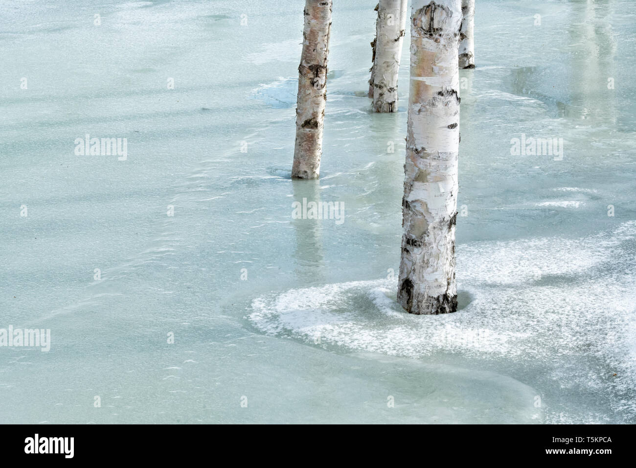 Alaska tanana ice hi-res stock photography and images - Alamy