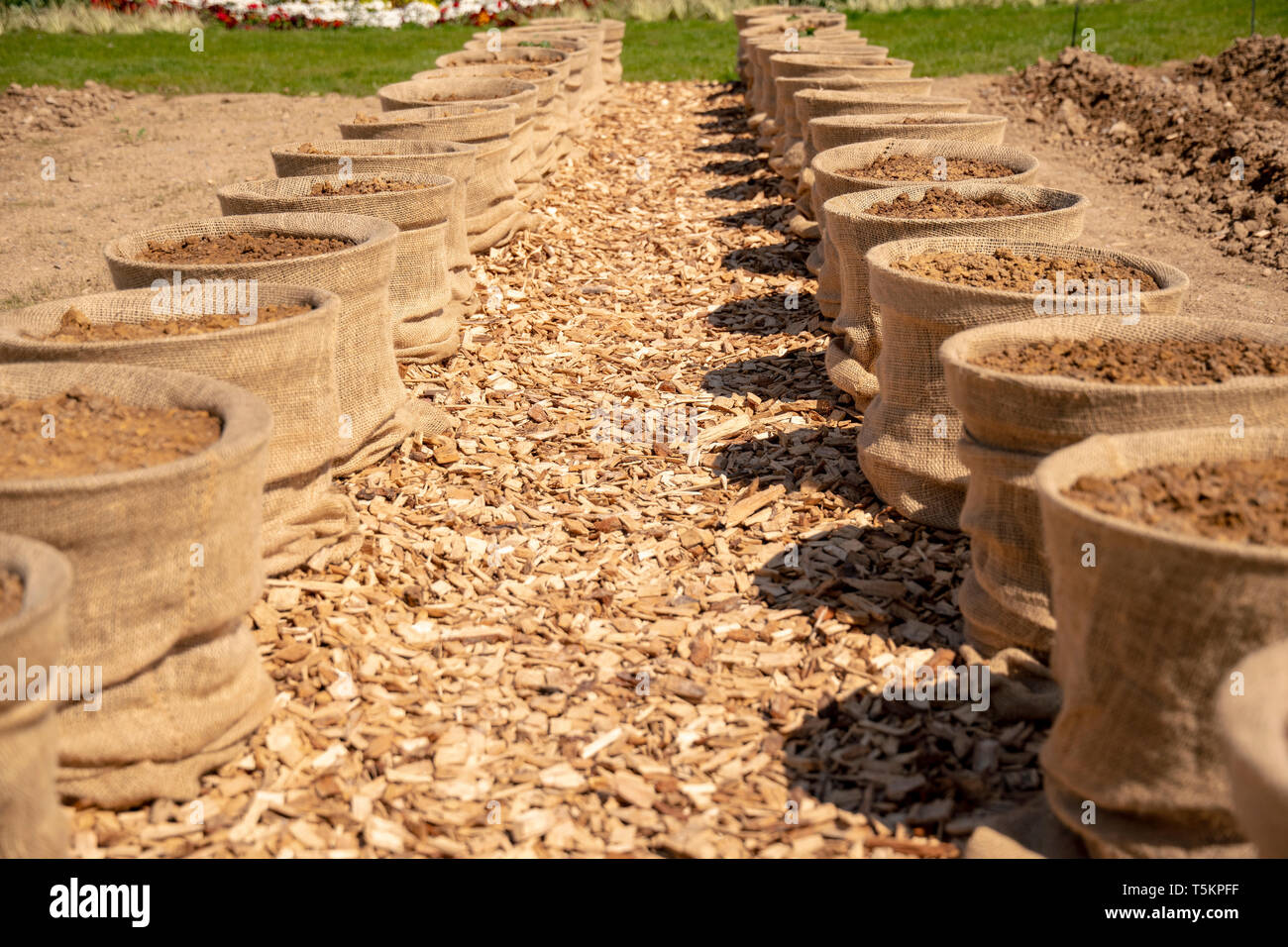 Old potato sacks hi-res stock photography and images - Alamy