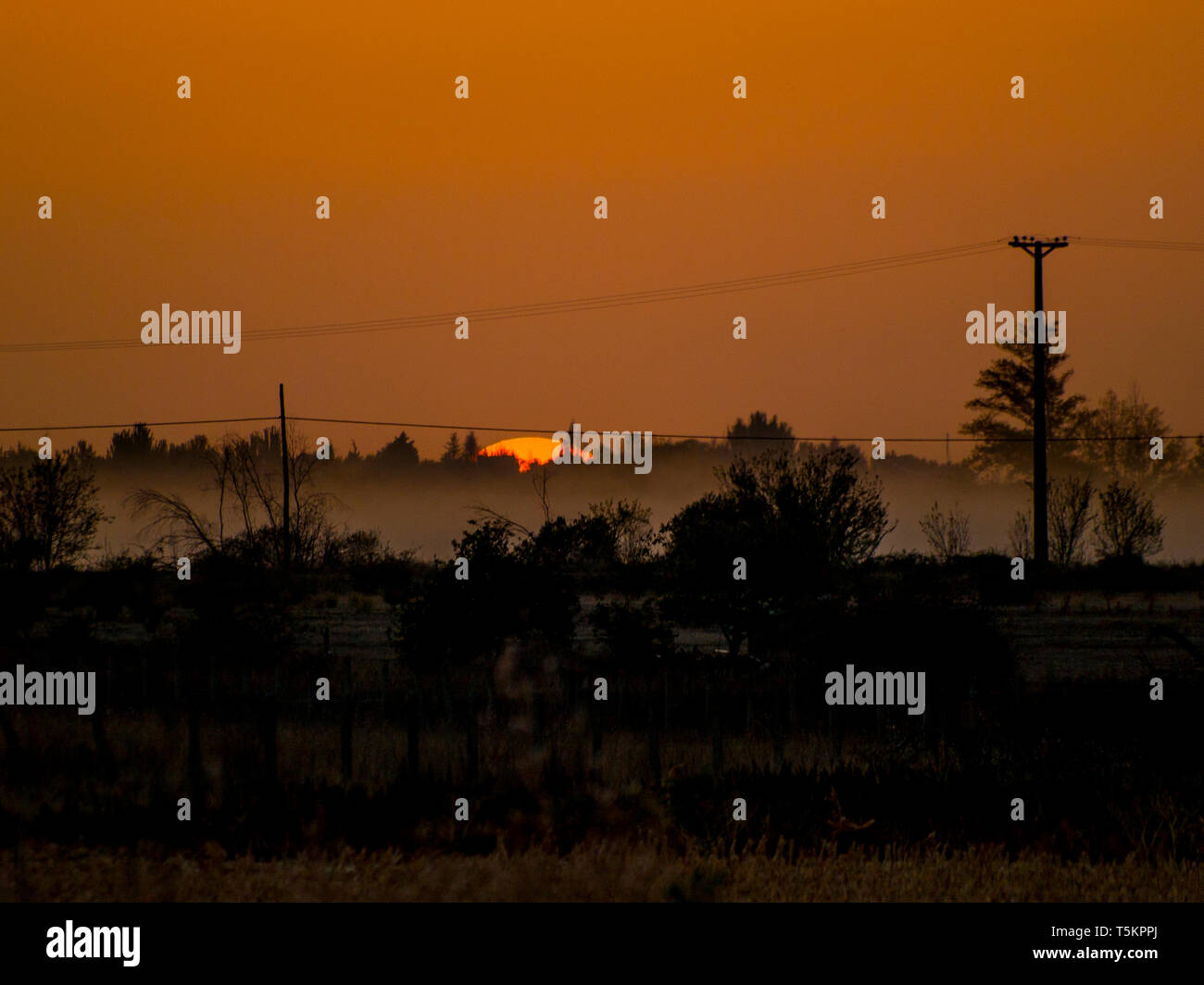 Golden foggy hi-res stock photography and images - Alamy