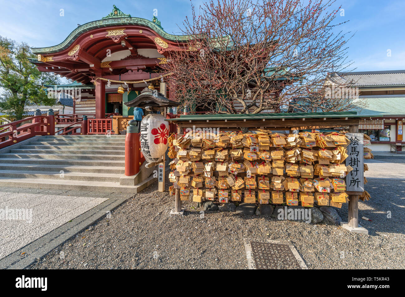 Ema plaques and chochin lanterns at Honden (Main Hall) of Kameido ...