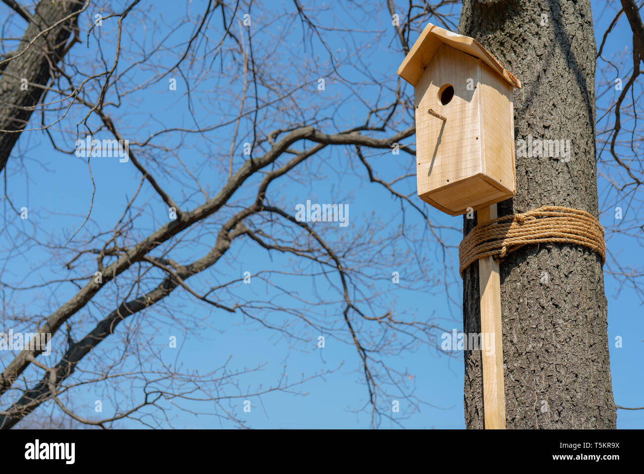 Wooden house for birds hi-res stock photography and images - Alamy