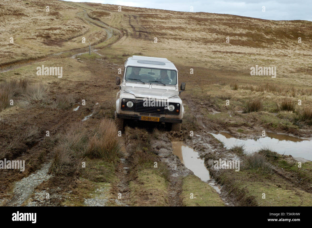Land Rover Defender 90 on a Dutch number plate green lanes across the ...