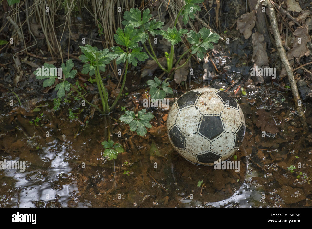 Deflated Football High Resolution Stock Photography and Images - Alamy