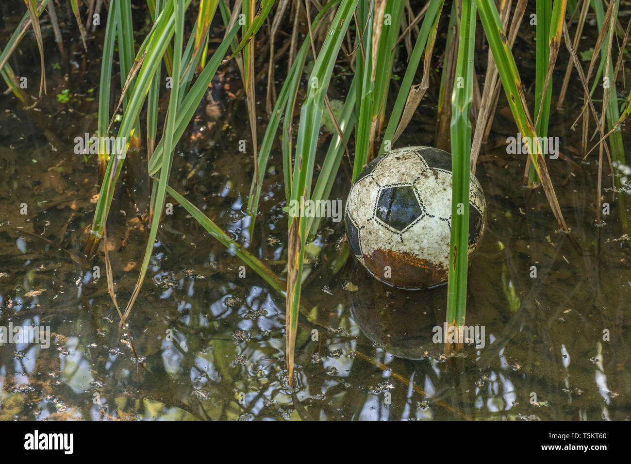 Slightly deflated plastic football lost in a drainage ditch. Missing ...