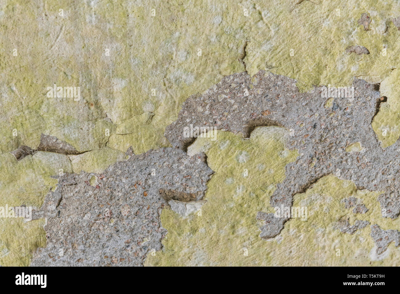 Painted Render Wall Texture High Resolution Stock Photography and ...